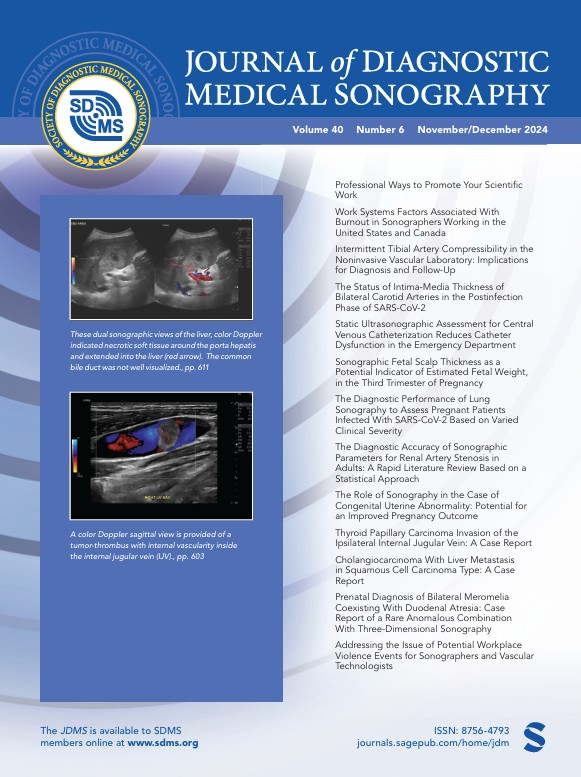 SDMS Annual Report 2024